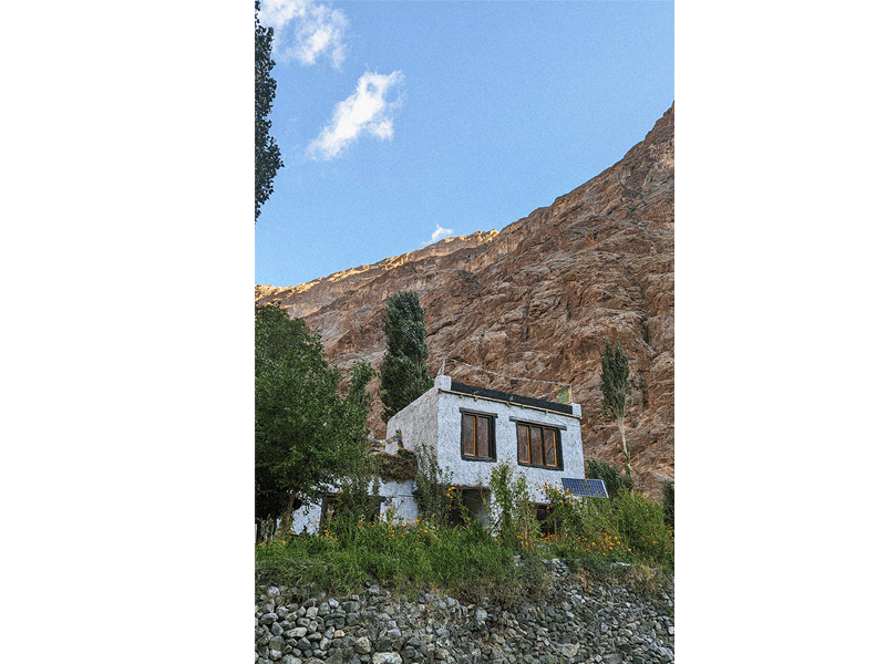 Best Farmstay in Ladakh - Tar Village - Tar Farmstay